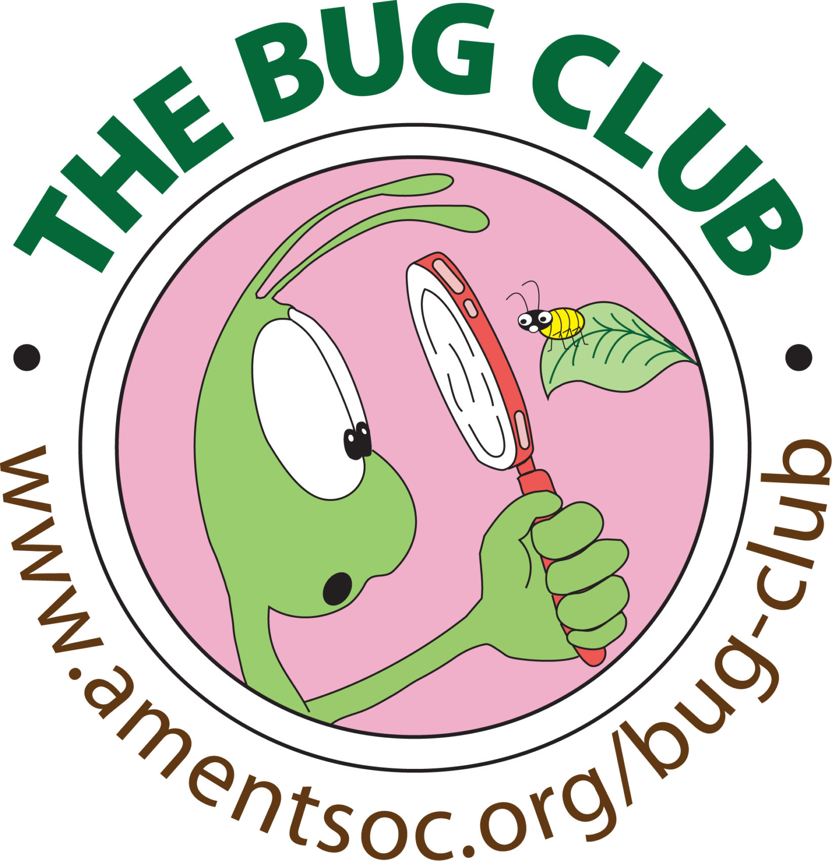 Amateur Entomologist's Society - The Bug Club - Insect Week